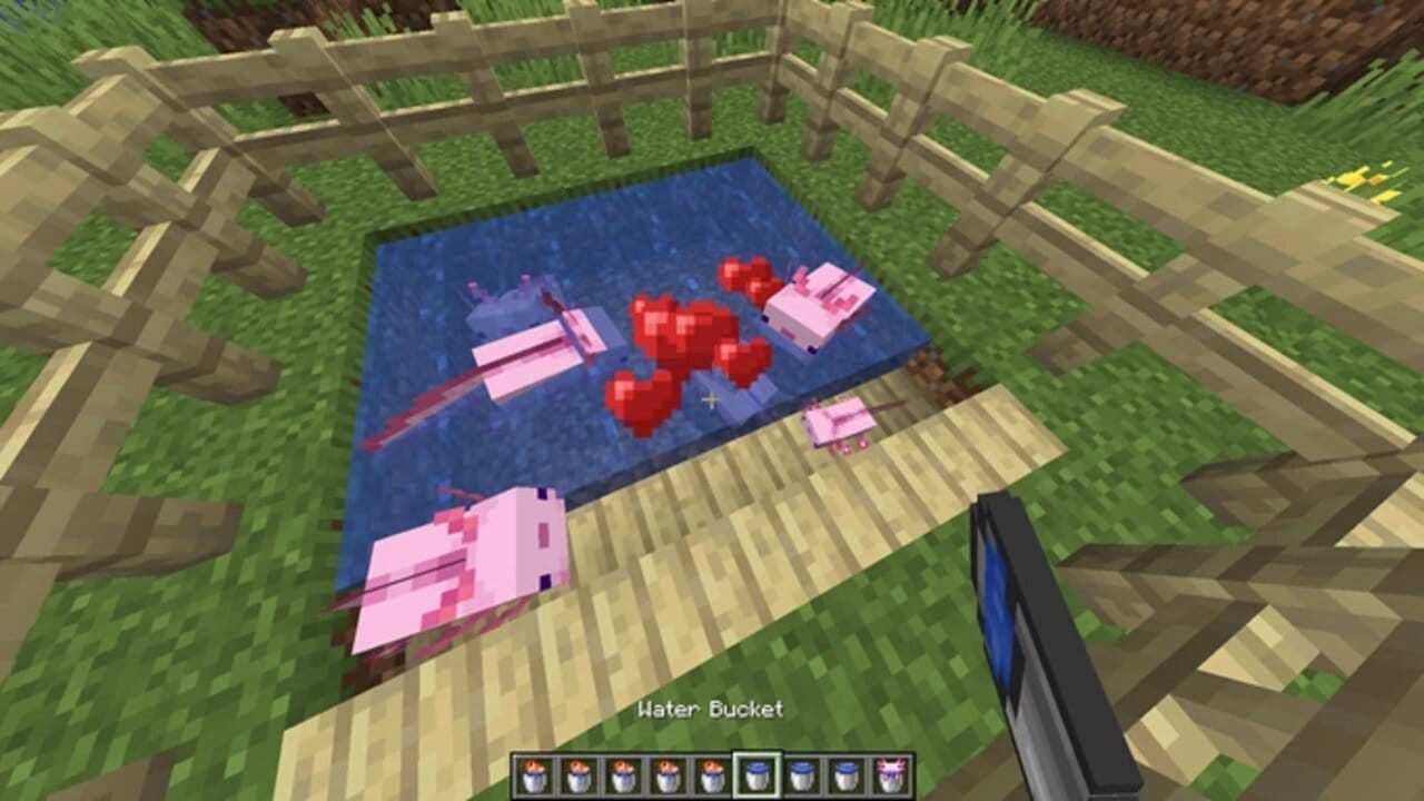 How to Breed Axolotls In Minecraft: A Complete Guide | GameGrinds