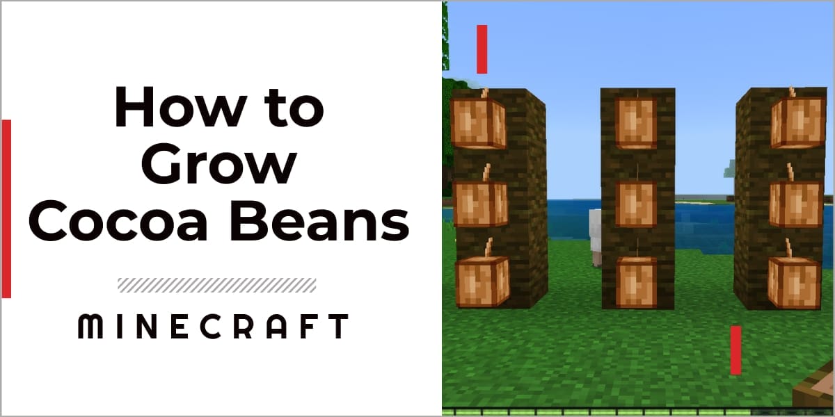 How To Grow Cocoa Beans In Minecraft 2023 - A Step-by-Step Guide ...