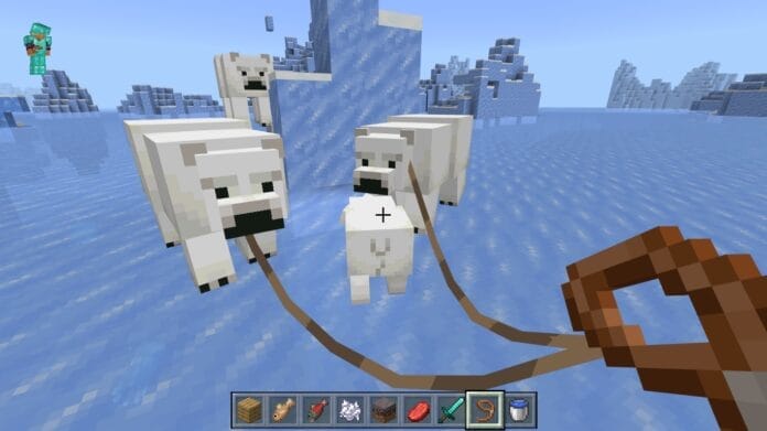 What Do Polar Bears Eat In Minecraft? | GameGrinds