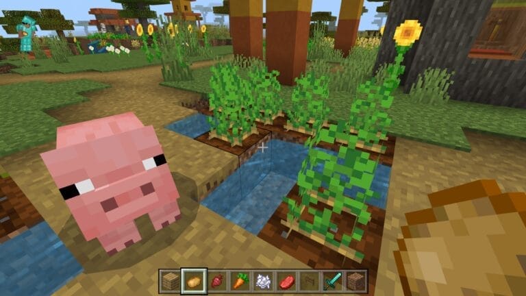 What Do Pigs Eat In Minecraft - A Complete Guide | GameGrinds