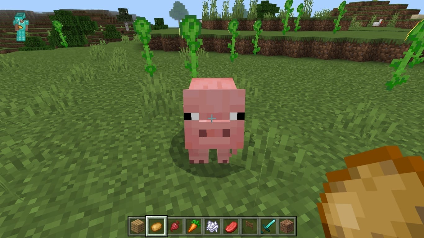 How To Breed Pigs In Minecraft [Complete Guide] | GameGrinds