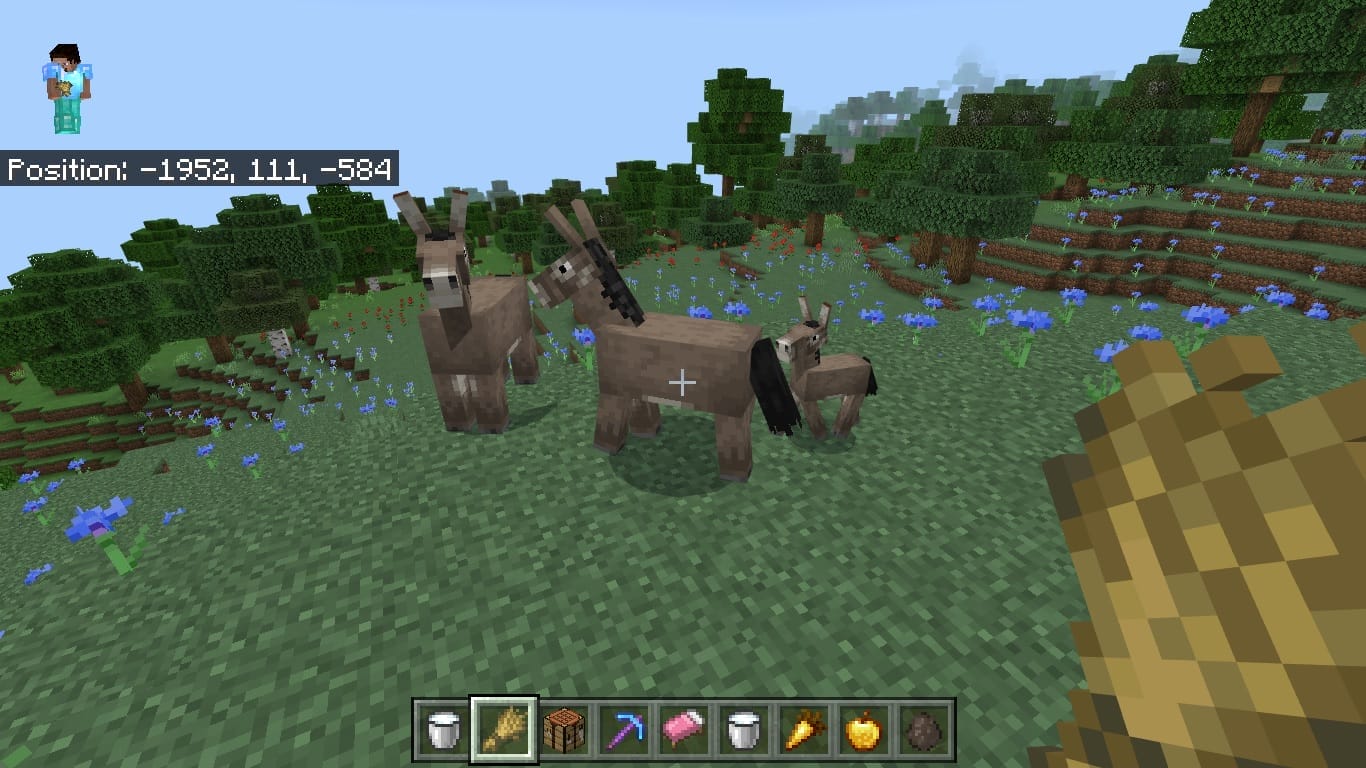What Do Donkeys Eat In Minecraft? | GameGrinds